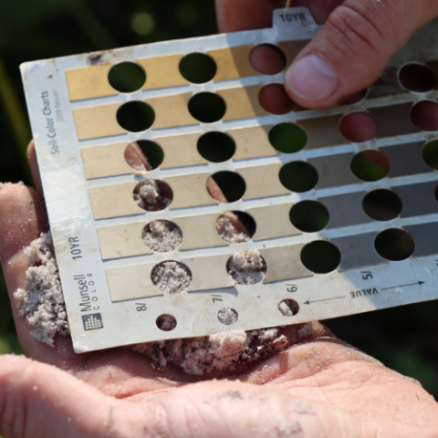 Septic Services - Florida Engineering LLC